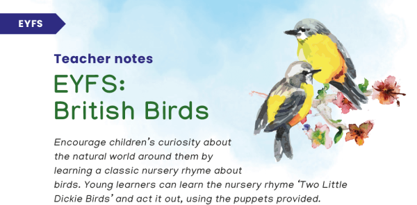 Big Schools’ Bird Watch - Two Little Dickie Birds: EYFS Understanding ...