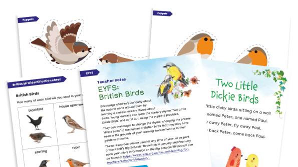 EYFS Teaching Resources Collection | Plazoom
