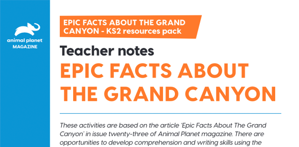 Epic Facts About the Grand Canyon: Key Stage 2 Comprehension and ...