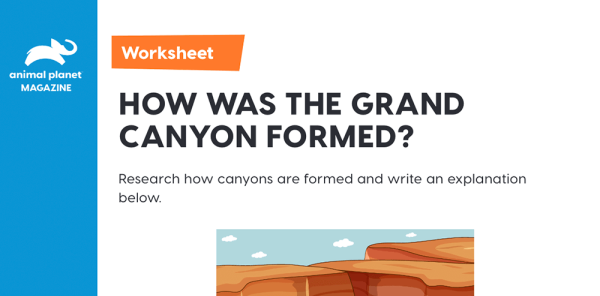 Epic Facts About the Grand Canyon: Key Stage 2 Comprehension and ...