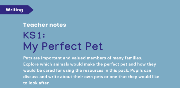 My Perfect Pet - KS1 worksheets and activities | Plazoom