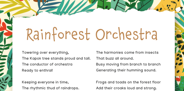 Poems with Onomatopoeia KS2, Rainforest Orchestra - KS2 Text Types ...