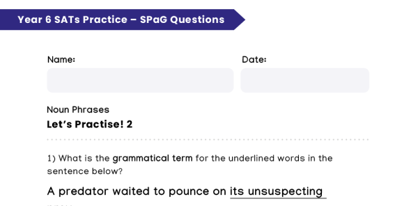 Year 6 SATs Practice - SPaG questions - Noun phrases | Plazoom