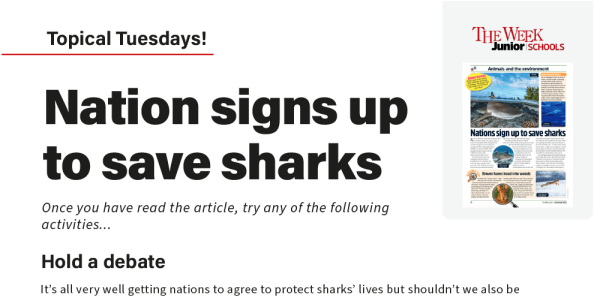 Topical Tuesdays: Saving the Sharks - Key Stage 2 News Story and ...