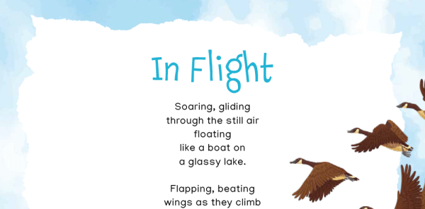 Using imagery - poems - KS2 Text Types: Writing Planners and Model ...