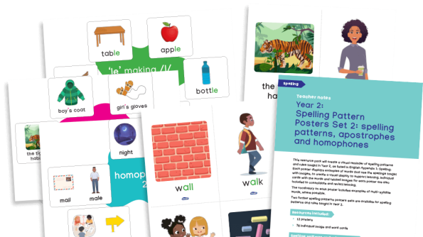 Year 2 Spellings: Spelling Patterns Posters and Flashcards (pack 3 ...