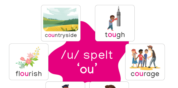 Year 4 Spellings: Spelling Patterns Posters and Flashcards (pack 3 ...