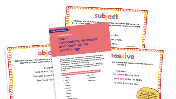 Grammar posters - Year 4 terminology | Plazoom