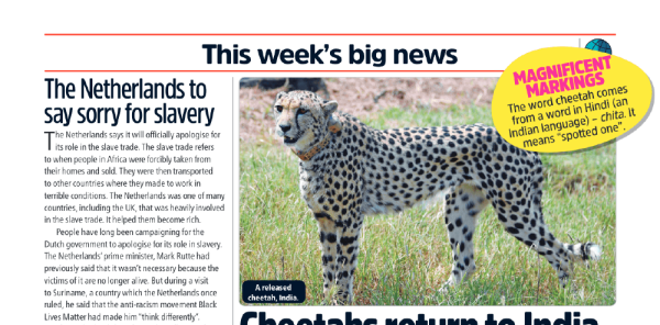 Topical Tuesdays: Reintroducing the Cheetah - Key Stage 2 News Story ...