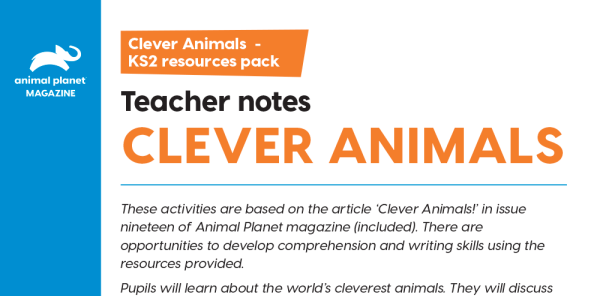Clever Animals: KS2 Comprehension and Writing Activities Pack with ...