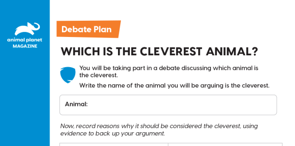 Clever Animals: KS2 Comprehension and Writing Activities Pack with ...