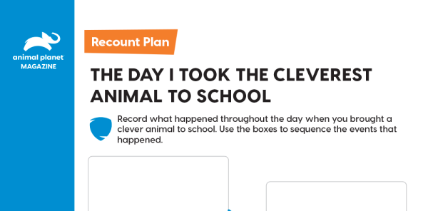 Clever Animals: KS2 Comprehension and Writing Activities Pack with ...
