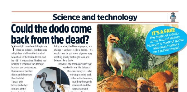 Topical Tuesdays: Reviving the Dodo - Key Stage 2 News Story and ...