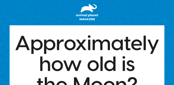 Explore the Moon: Key Stage 2 Comprehension and Writing Activities Pack ...