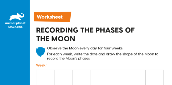 Explore the Moon: Key Stage 2 Comprehension and Writing Activities Pack ...