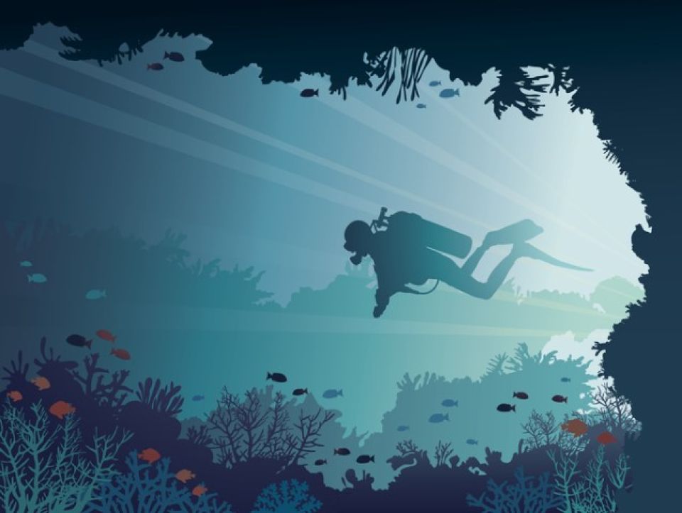 The Ofsted Deep Dive – Reading Collection Resources | Plazoom