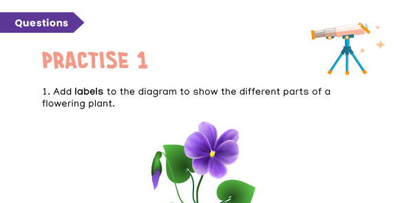 6.10 Year 6: T - layout devices [for example, headings, sub-headings ...
