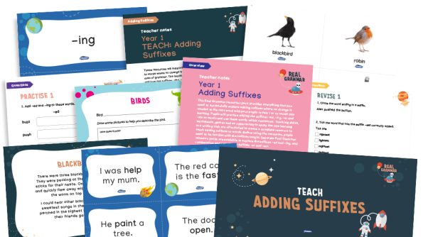 Year 1 Teaching Resources | Plazoom