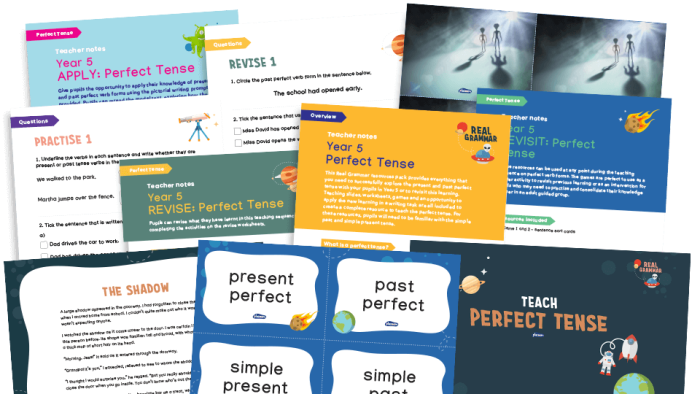 Real Grammar Resource Download | A Powerful Grammar Programme for Years ...