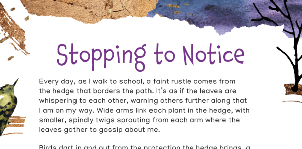 Descriptive Writing, Personification - KS2 Text Types: Writing Planners ...