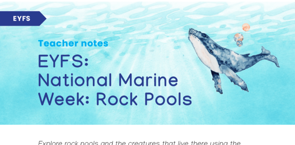 EYFS: National Marine Week - Rock Pools | Plazoom