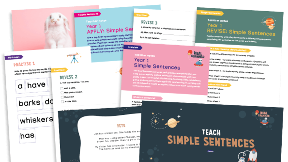 Year 1 Teaching Resources | Plazoom