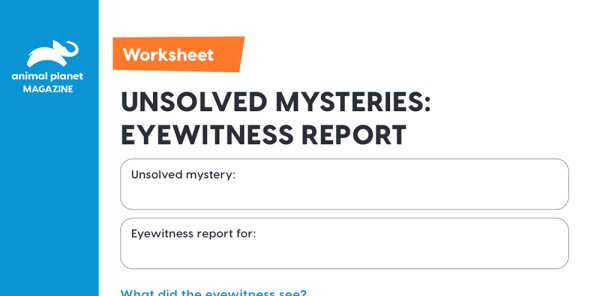 The World’s Strangest Unsolved Mysteries: Key Stage 2 Comprehension and ...