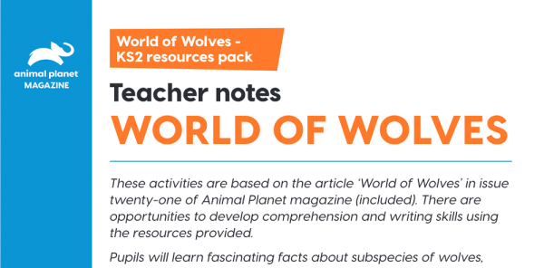 The World of Wolves: Key Stage 2 Comprehension and Writing Activities ...