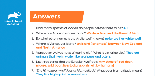 The World of Wolves: Key Stage 2 Comprehension and Writing Activities ...